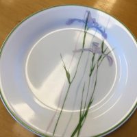 Corelle | Tamara Rubin