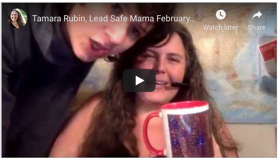 Videos Archives - Lead Safe Mama