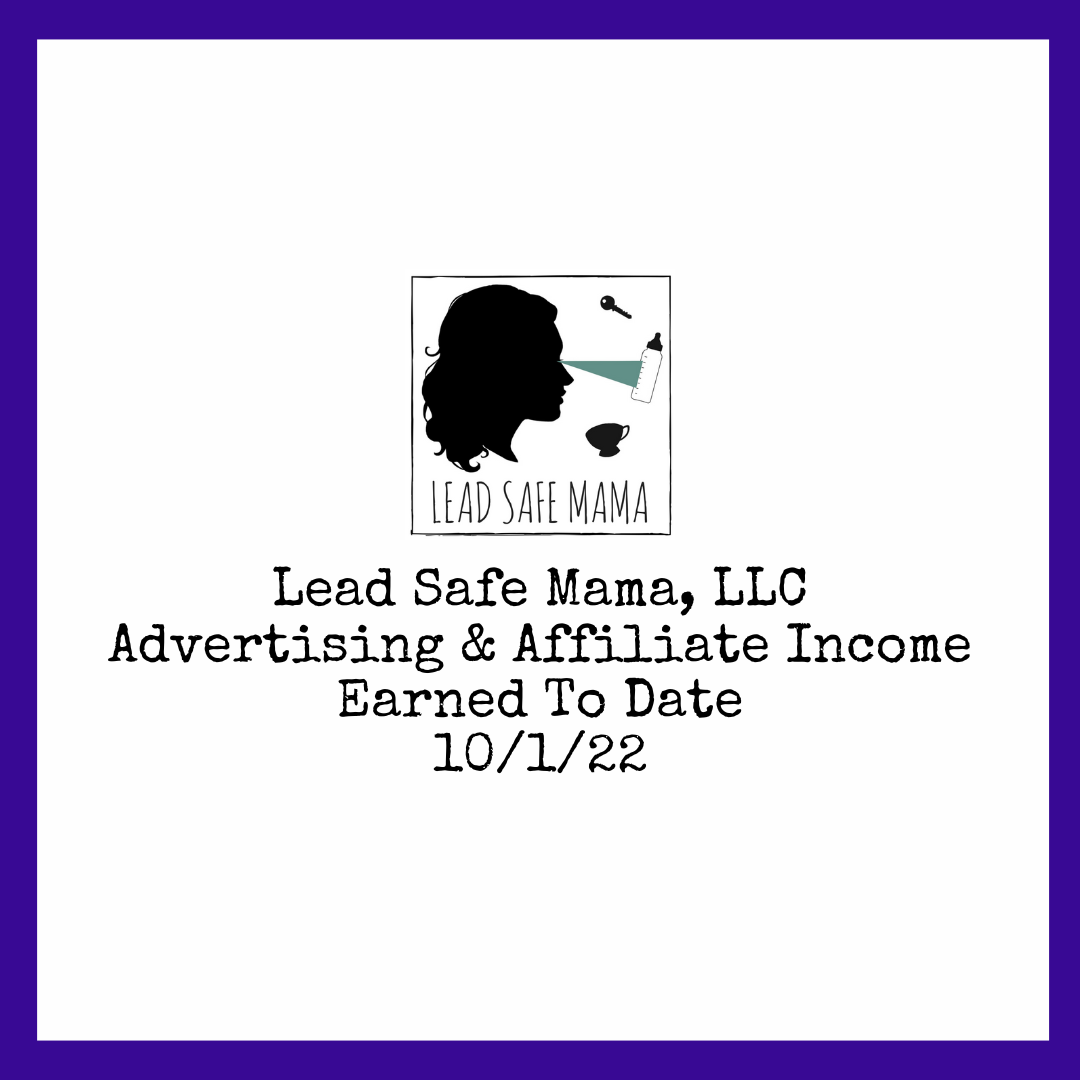 Total Lead Safe Mama, LLC affiliate and advertising income — all years ...