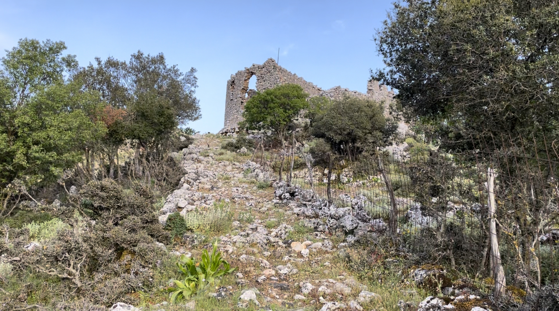 #NotLeadRelated: My husband was "saved" by some sheep after he took a ...