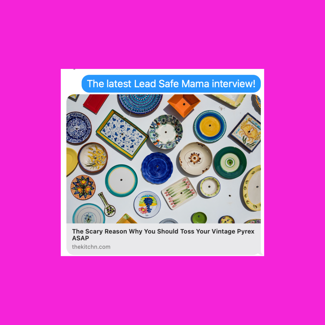 Lead Safe Mama Interview With TheKitchn.com — Published July 29, 2023 ...